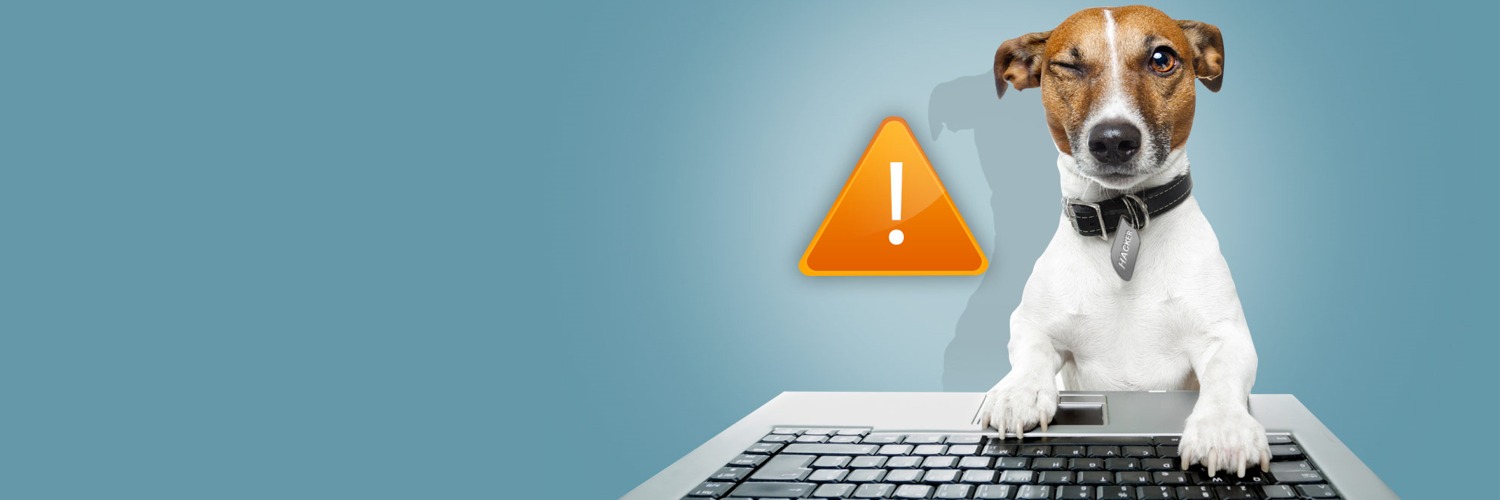 SSL Wizard – Gretor.com